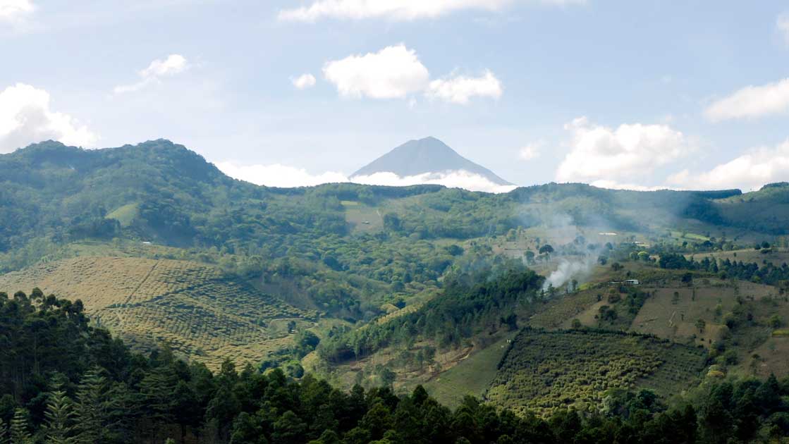 Aliar – Fresh Produce