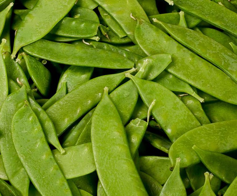 Arveja China – Aliar