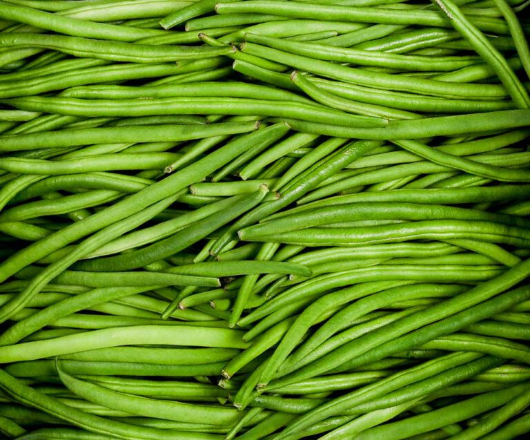 Ejote Francés – Aliar